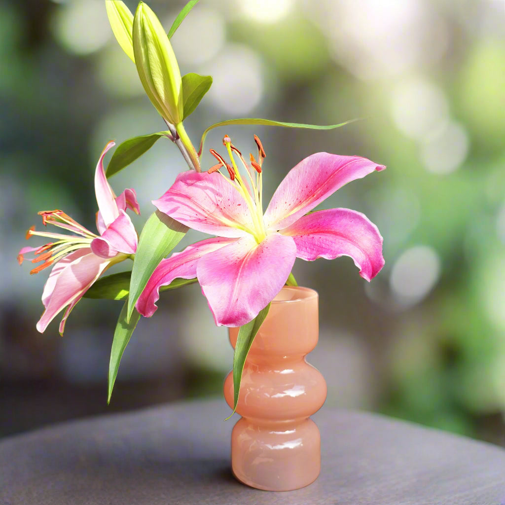 Peach Pink | Glass Vase – Eclectic Design House